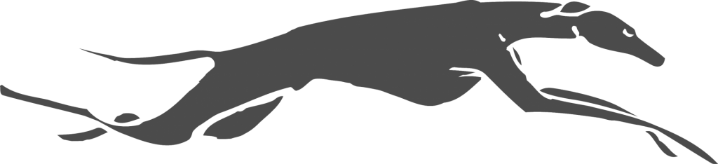 SCS-logo_Whippet-grey | Shelby City Schools